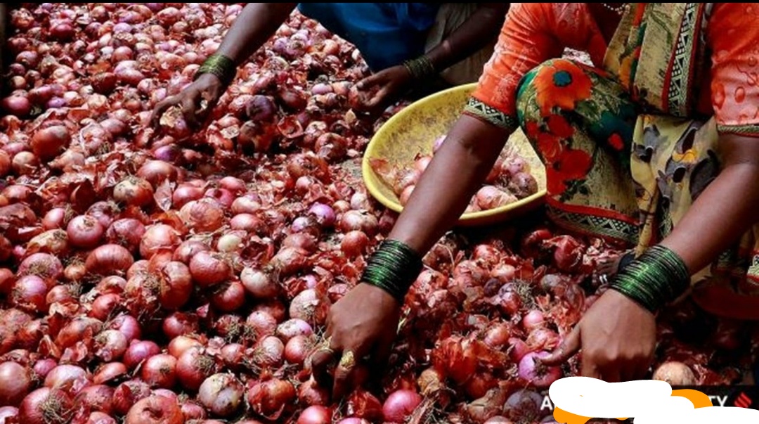 India: Maharashtra Onion Crisis: Farmers Forced to Sell at ₹1/kg, C ...